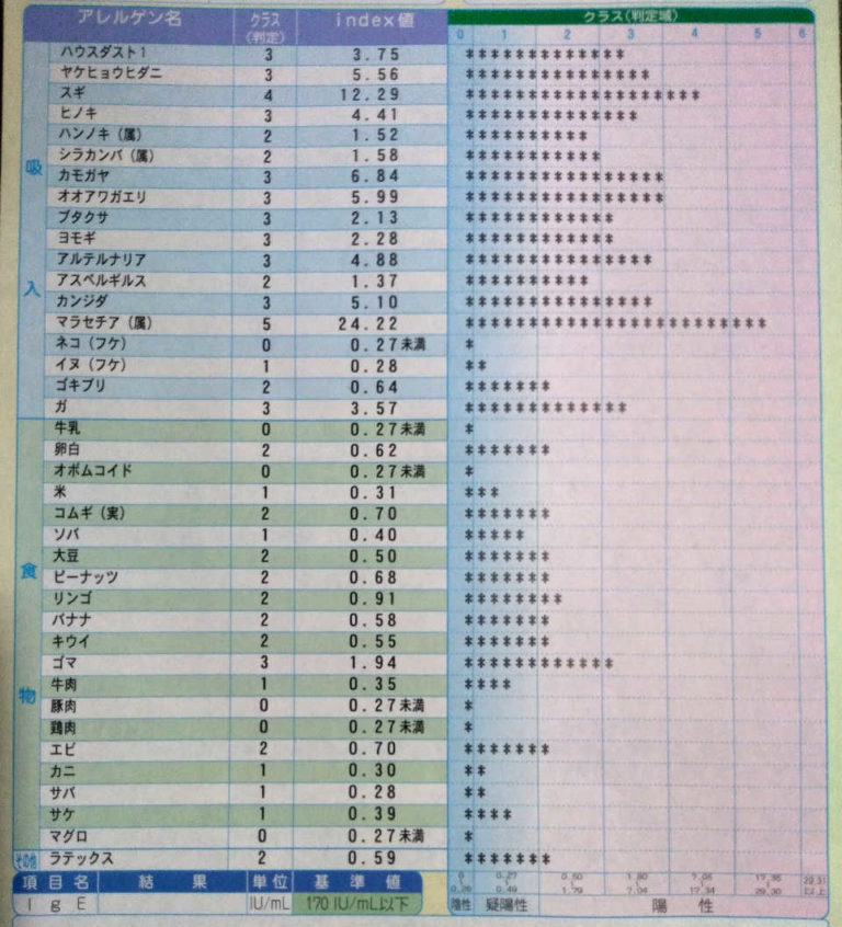 アレルギー検査（View39）受けてみた | TetoraChaos